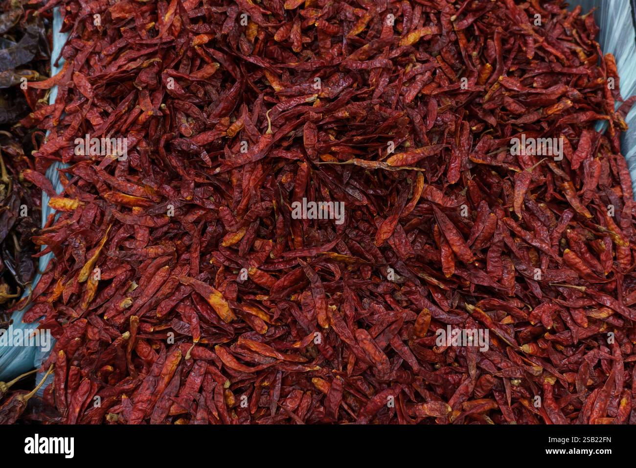 Tree chile on supermarket shelves.Variety of chili peppers on ...