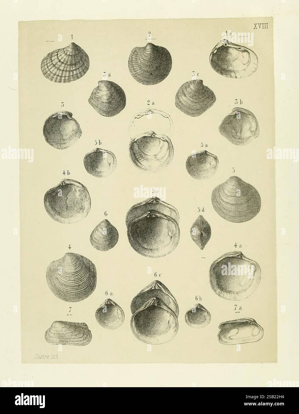 Featuring additional notations hi-res stock photography and images - Alamy