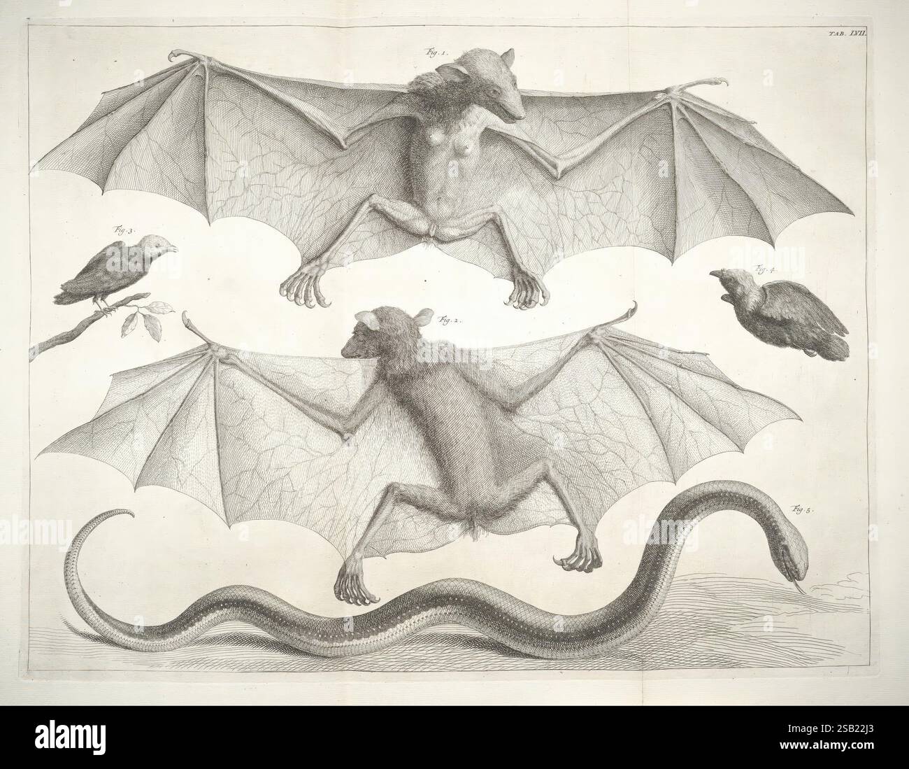 Artwork depicts fantastical creatures hi-res stock photography and ...