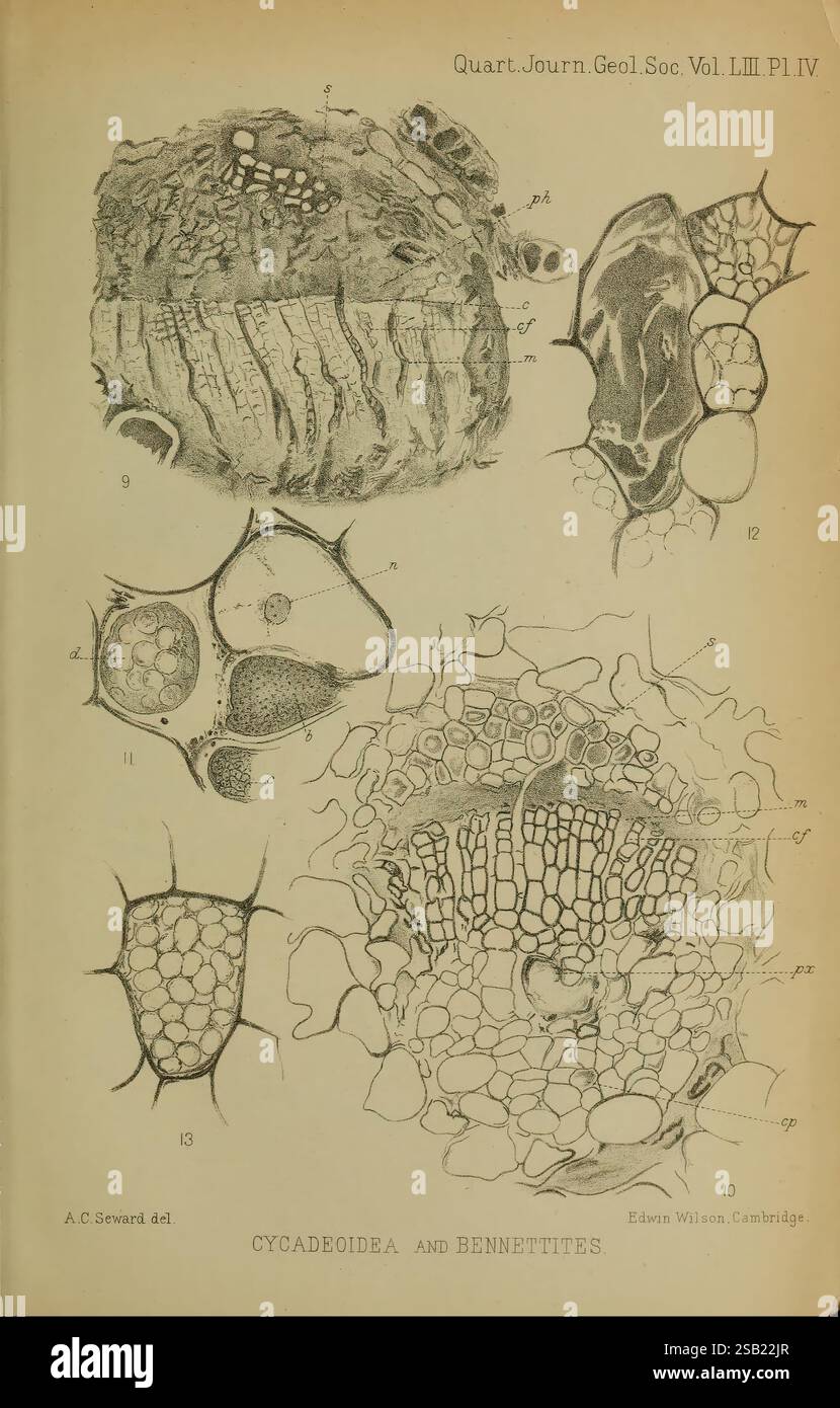 Understanding complex geological structures hi-res stock photography ...