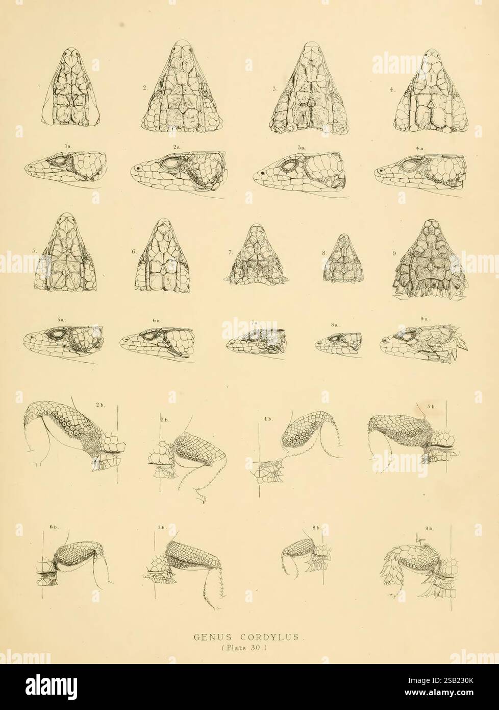Featuring close up observations hi-res stock photography and images - Alamy