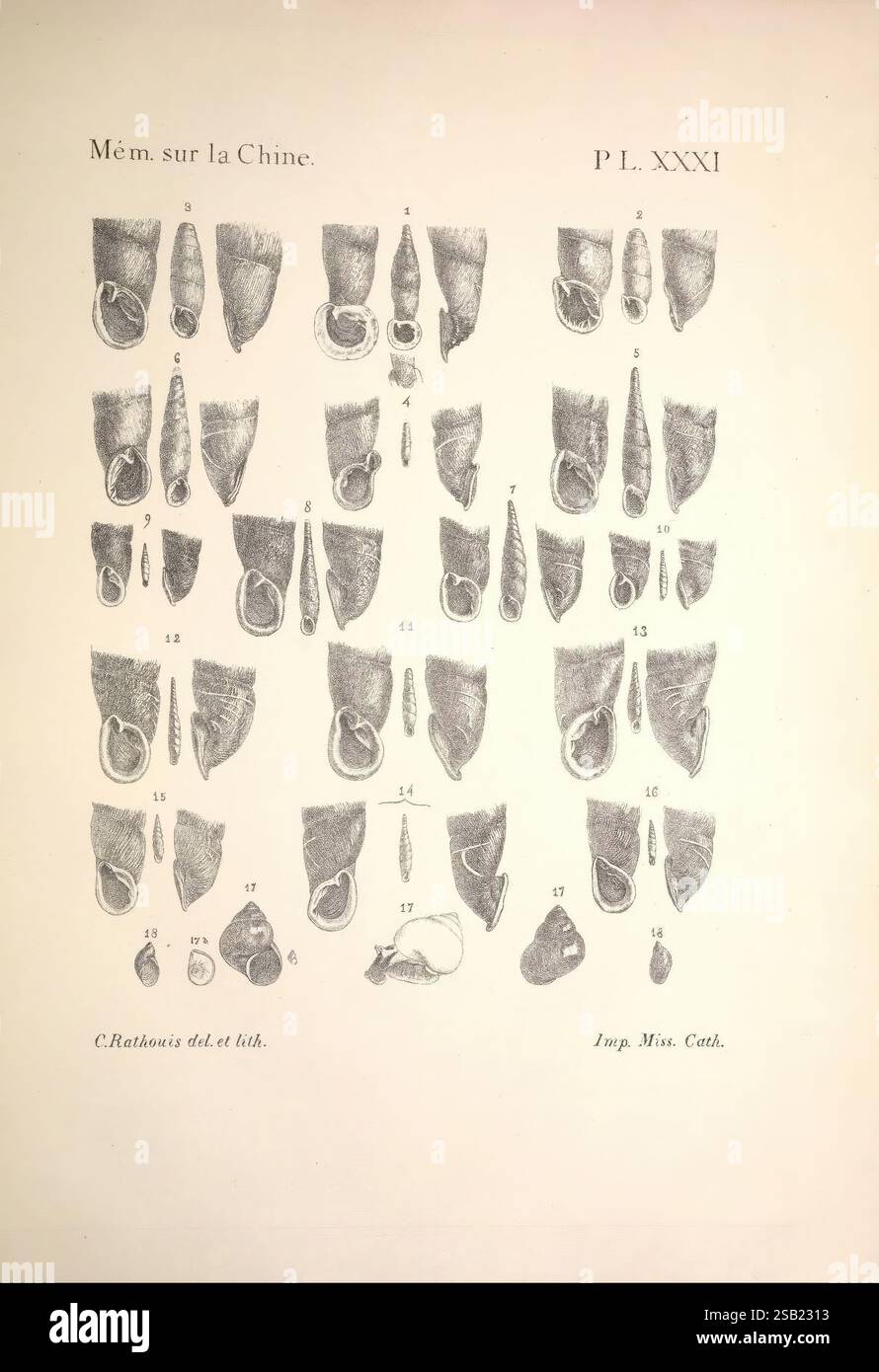 Notes sur les mollusques terrestres de la Vallée du Fleuve Bleu Chang ...