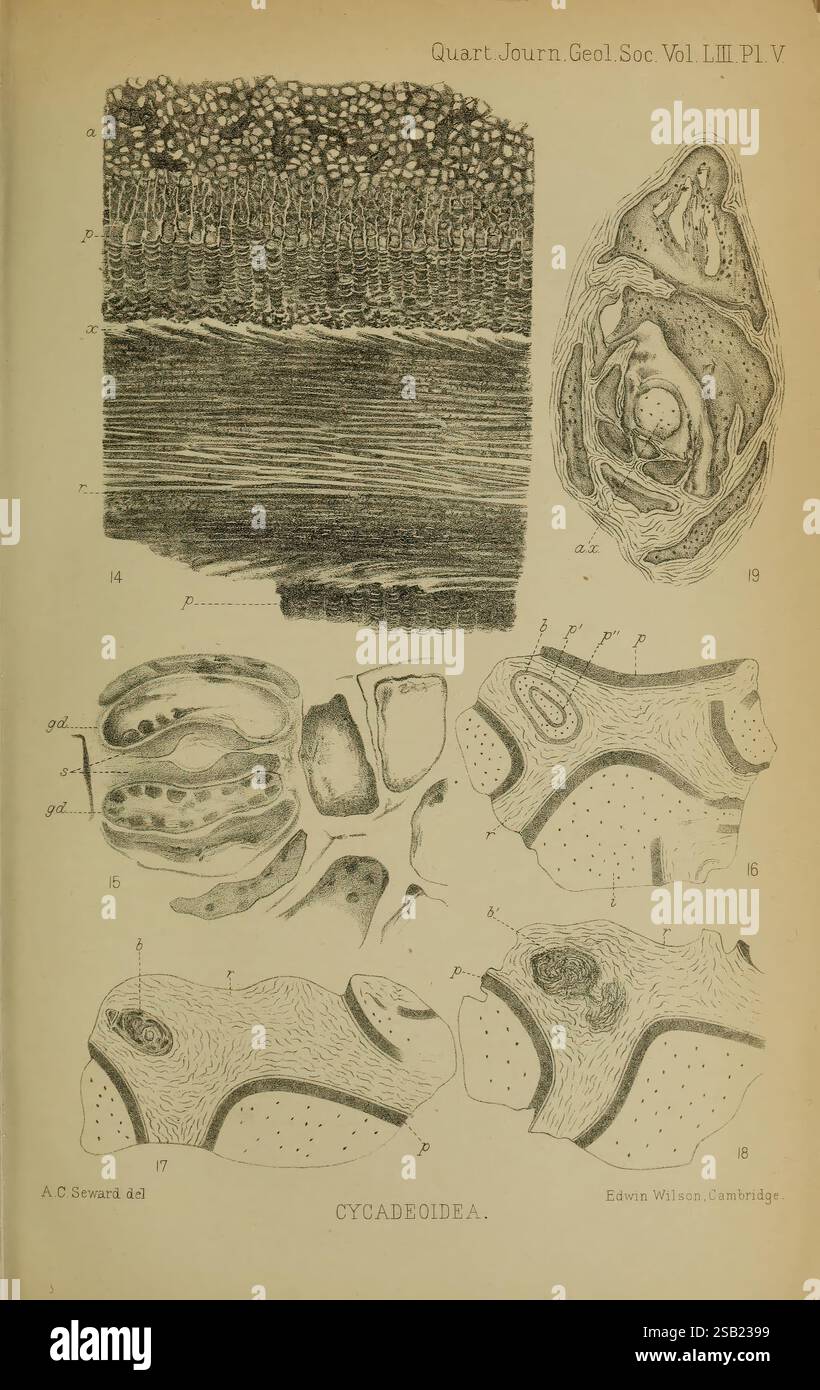 The Quarterly Journal of the Geological Society of London, v. 53 (1897 ...