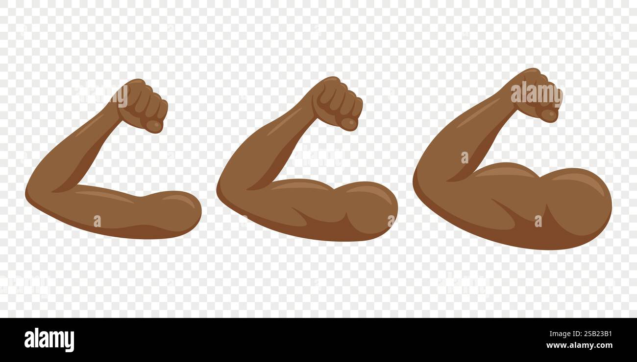 Muscle Growth Stages Vector Illustration. Cartoon Arm Progression From ...