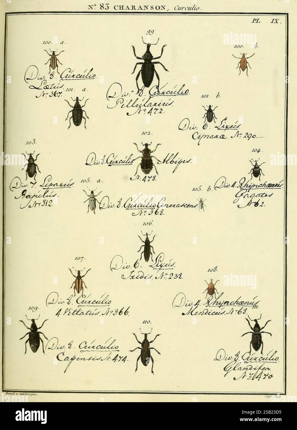 Providing taxonomy information hi-res stock photography and images - Alamy