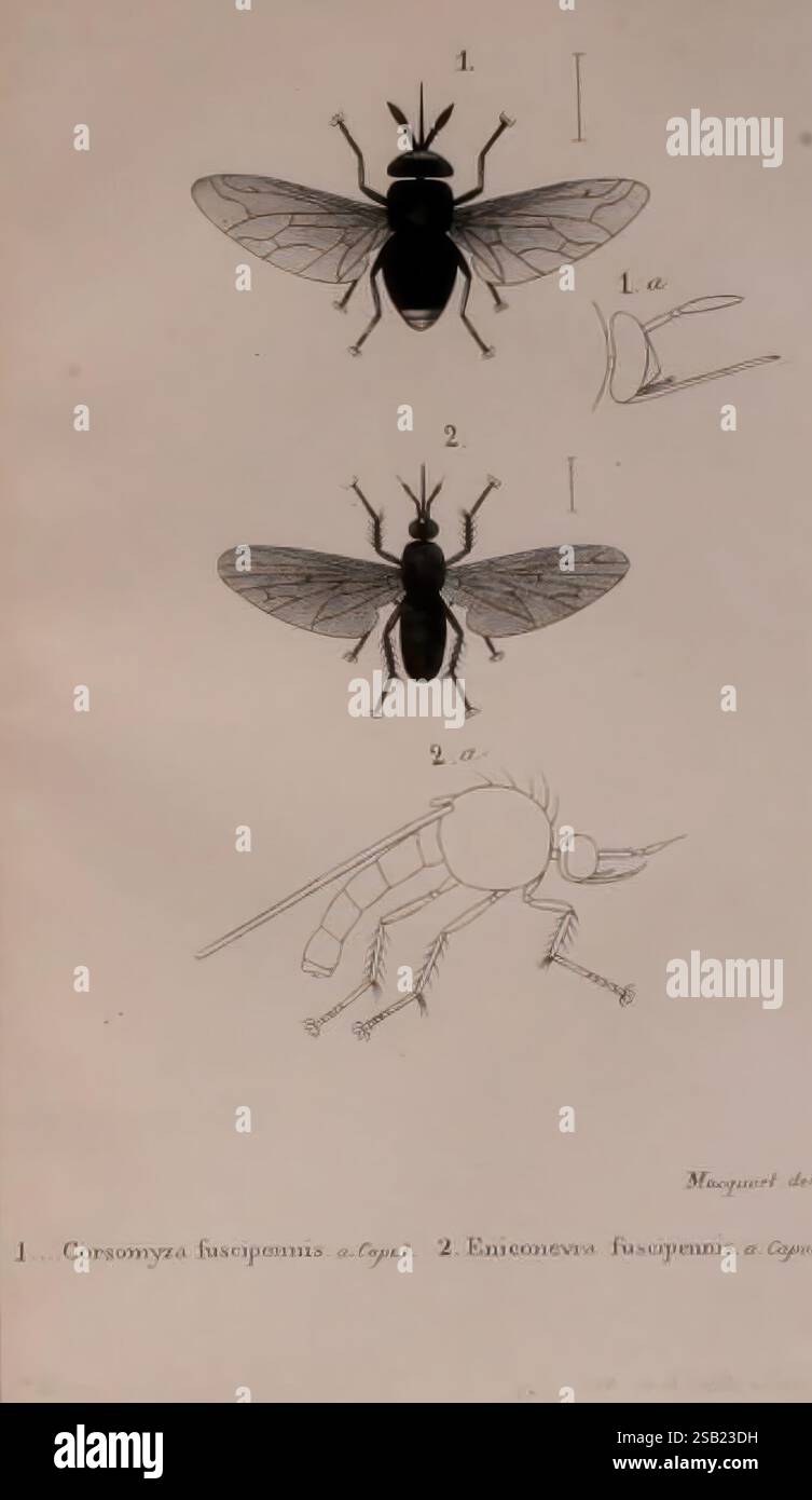 Labeled extensively hi-res stock photography and images - Alamy