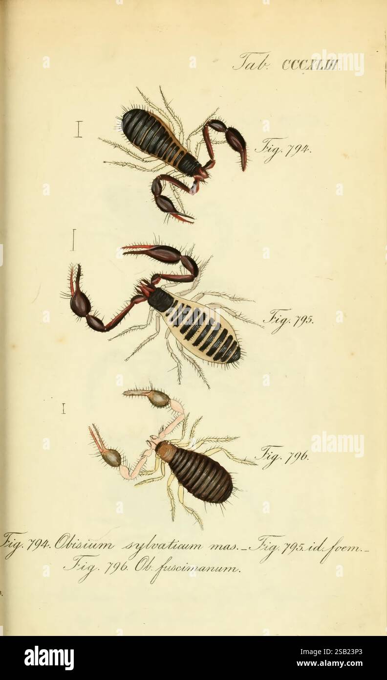 Illustration depicts three distinct figures hi-res stock photography ...