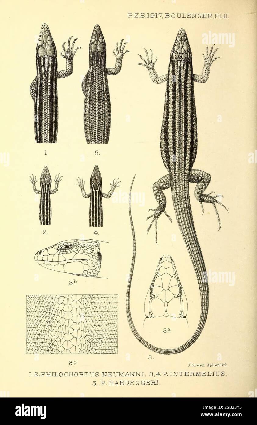 Various labeled portions hi-res stock photography and images - Alamy