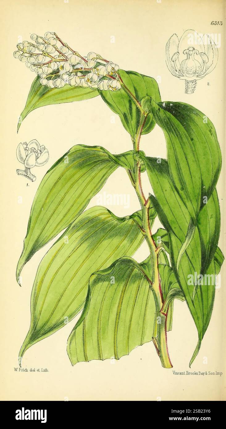 Another area depicts hi-res stock photography and images - Alamy