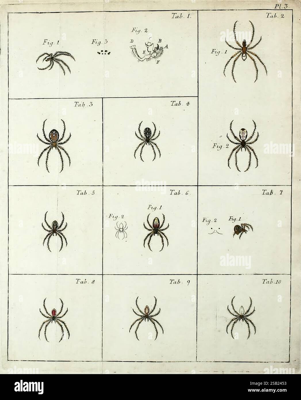 Variations within species hi-res stock photography and images - Alamy