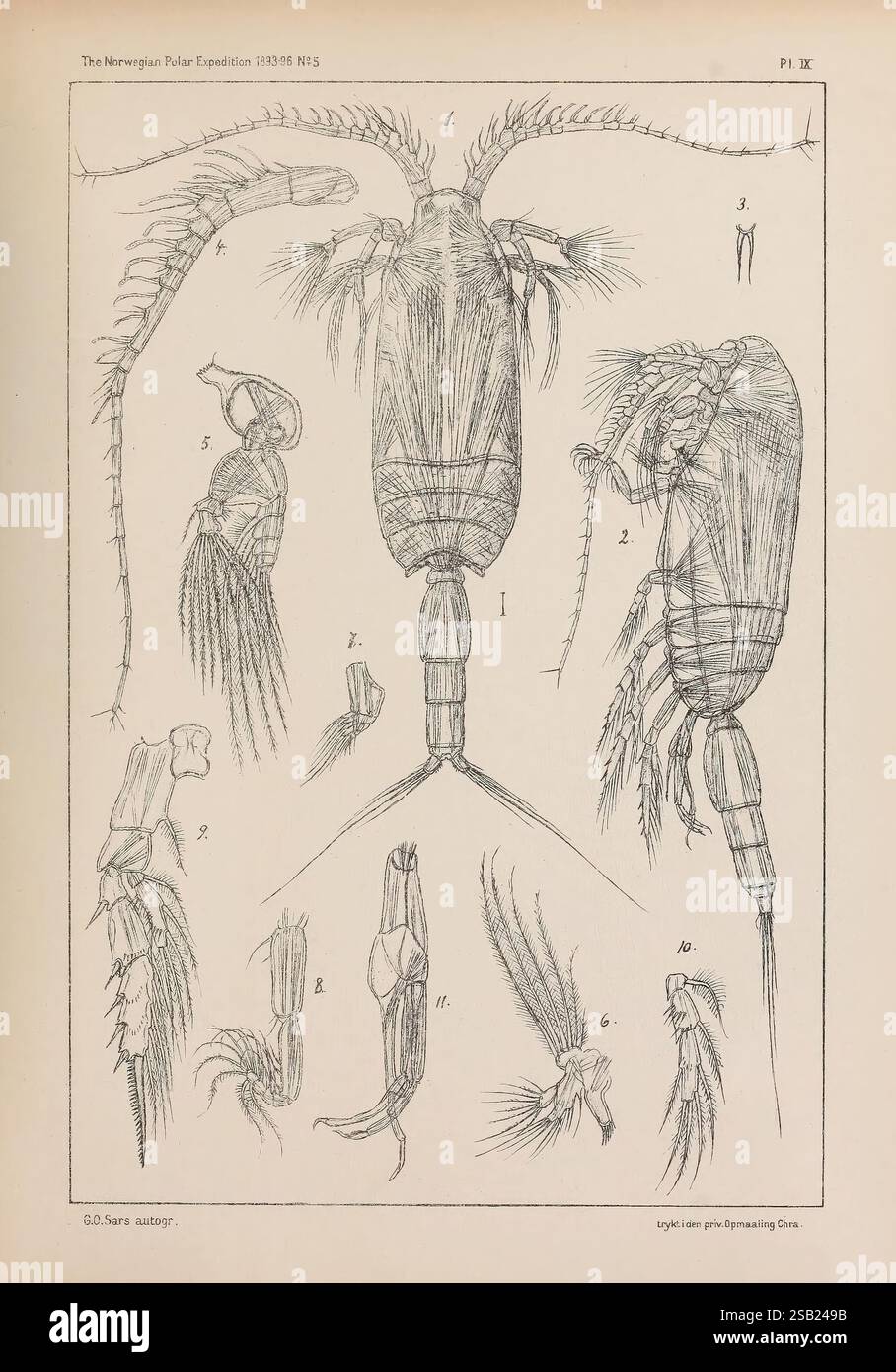 Showcasing segments hi-res stock photography and images - Alamy