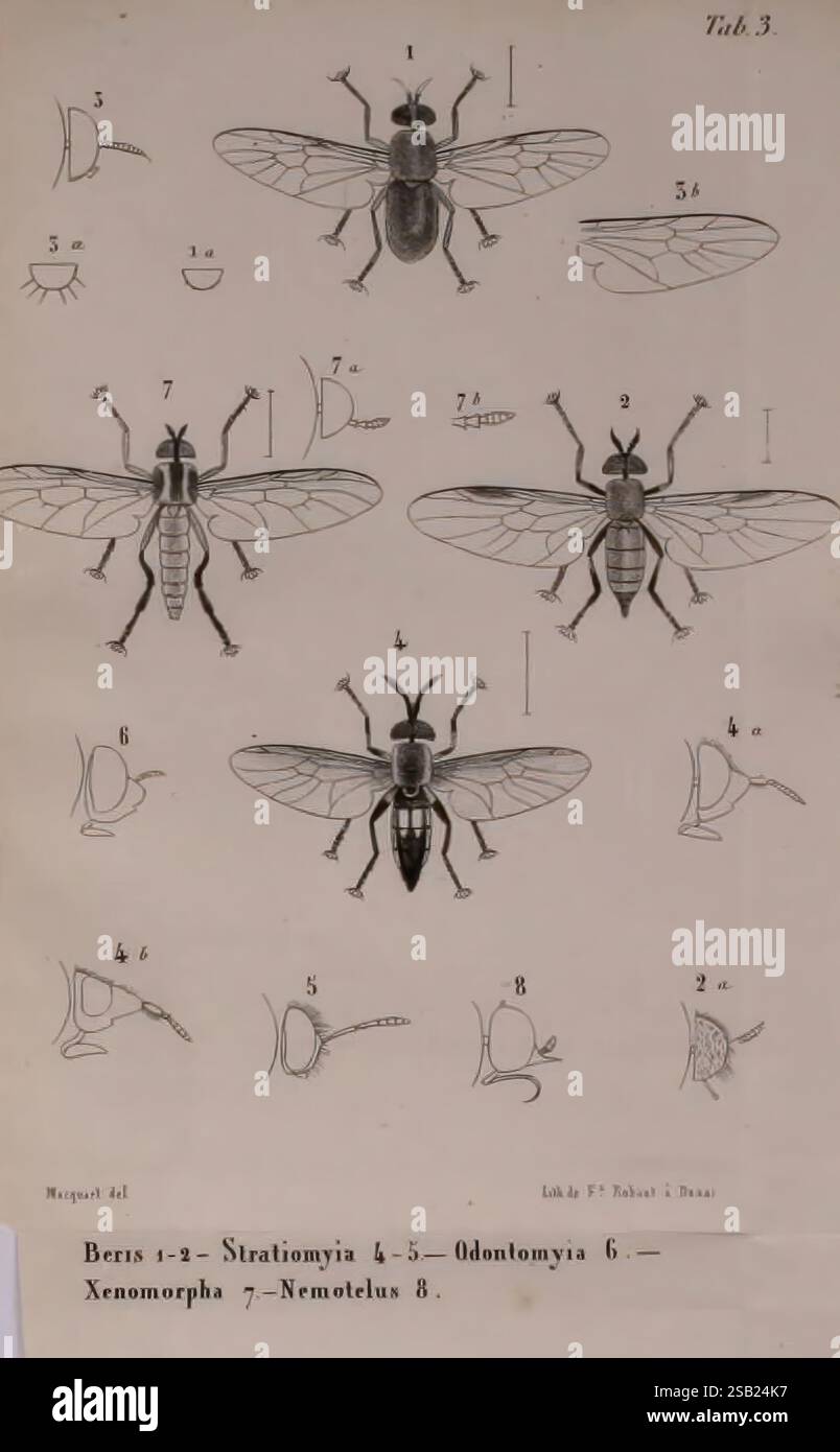 Diagrams of anatomical features hi-res stock photography and images - Alamy