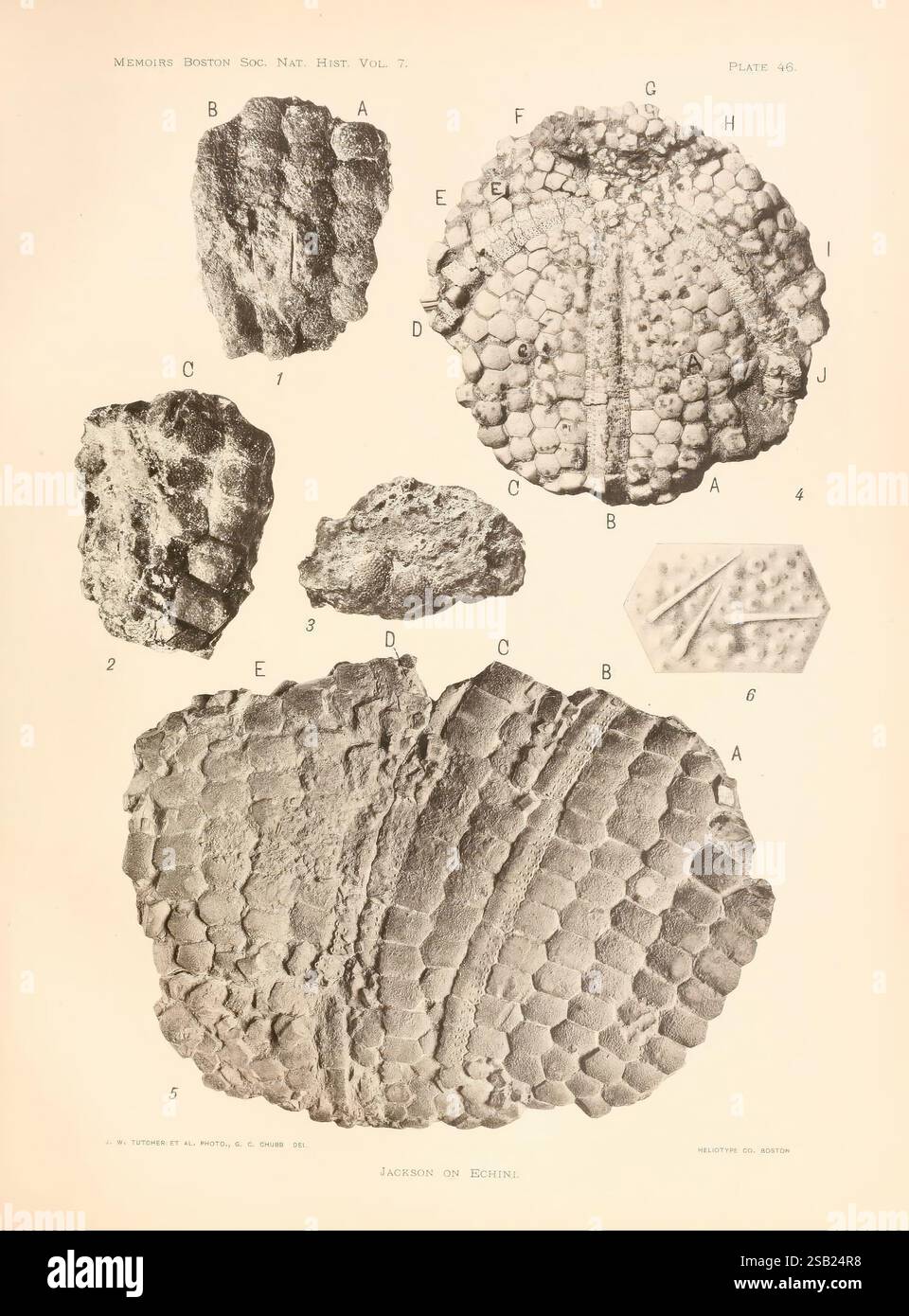 Test displays unique textures hi-res stock photography and images - Alamy