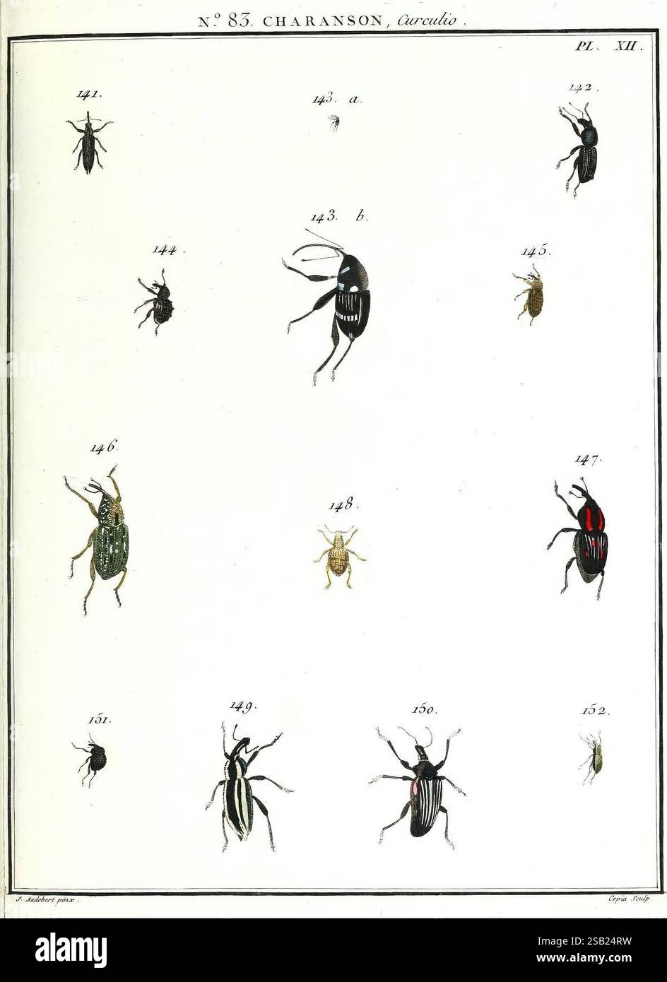 Entomologie ou Histoire naturelle des insectes, Paris, Imp. Baudouin ...