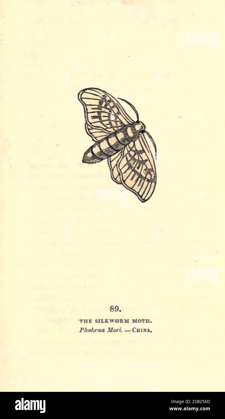 The book of butterflies, sphinxes, and, London, Whittaker, 1832-34 ...