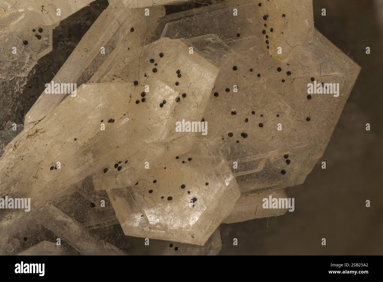 Detailed macro photograph showing transparent mineral crystals with ...