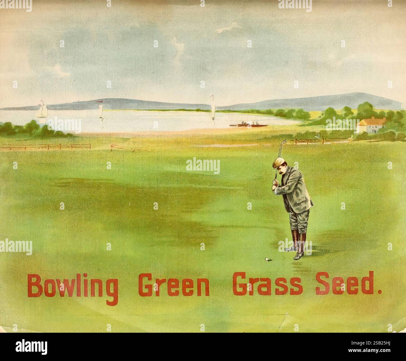 Bowling green grass seed hi-res stock photography and images - Alamy