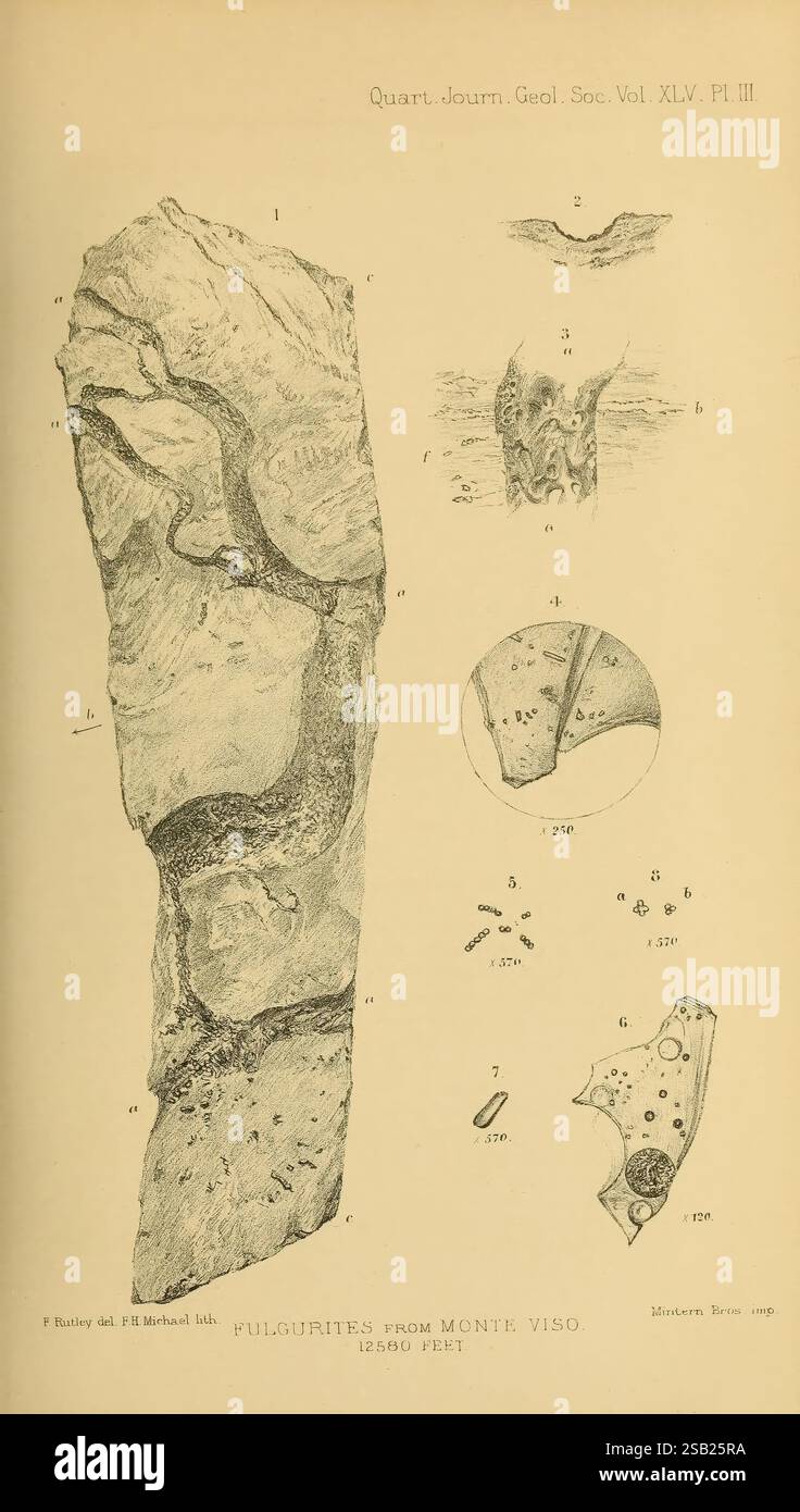 Smaller samples hi-res stock photography and images - Alamy