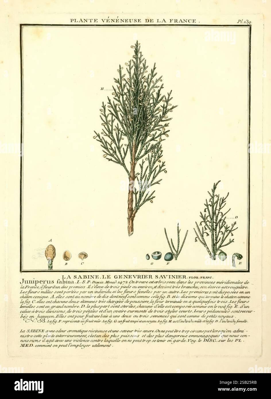 Plants significance within french botany hi-res stock photography and ...