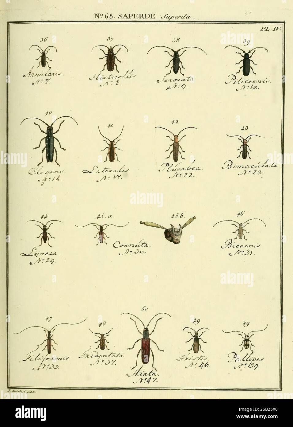 Entomologie, ou, Histoire naturelle des insectes, A Paris, De l ...