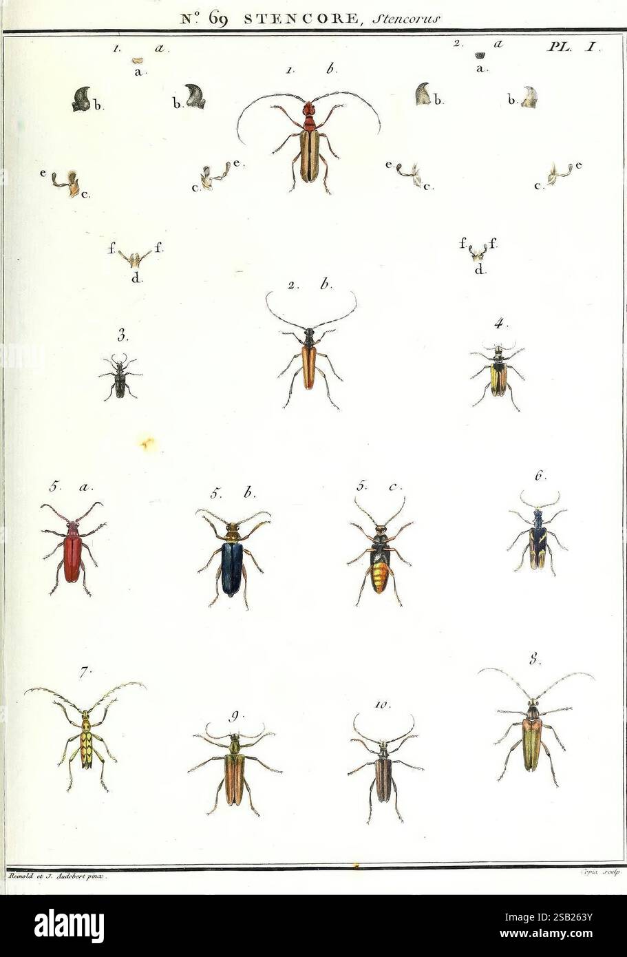 Entomologie ou Histoire naturelle des insectes, Paris, Imp. Baudouin ...