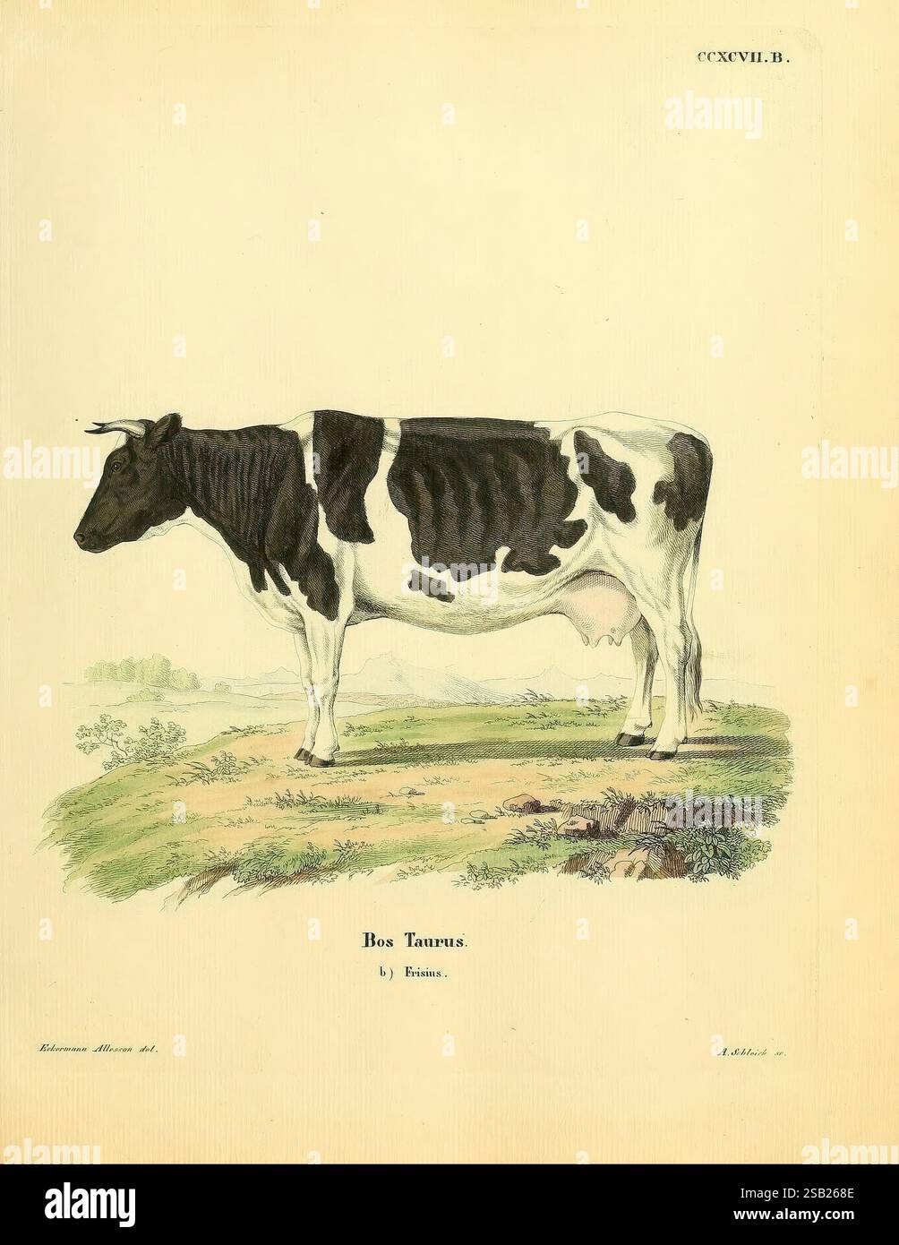 Type identified hi-res stock photography and images - Alamy