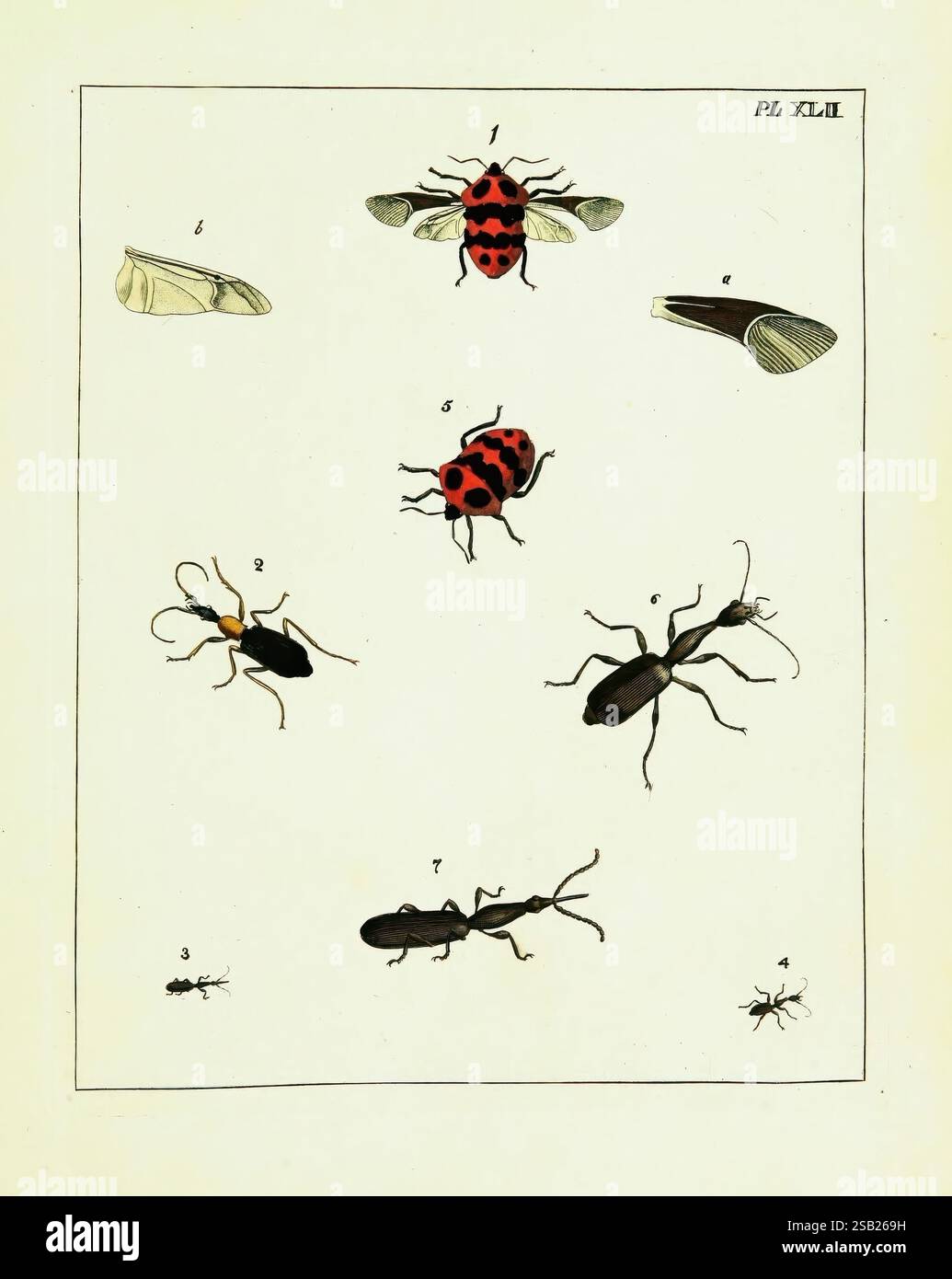 Ant depicted hi-res stock photography and images - Alamy