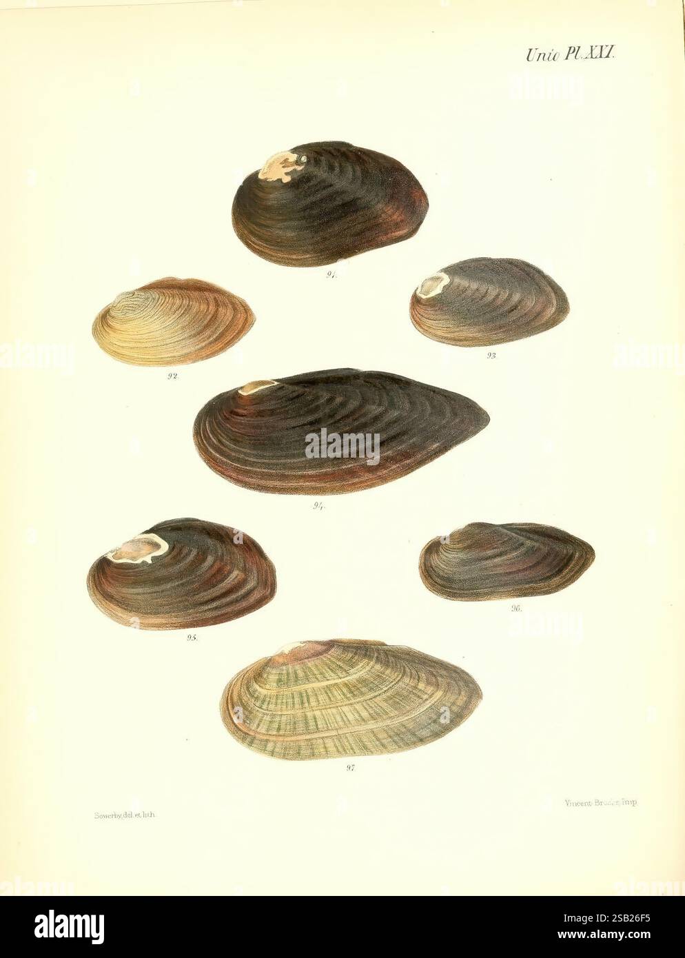 Gradations highlighting hi-res stock photography and images - Alamy