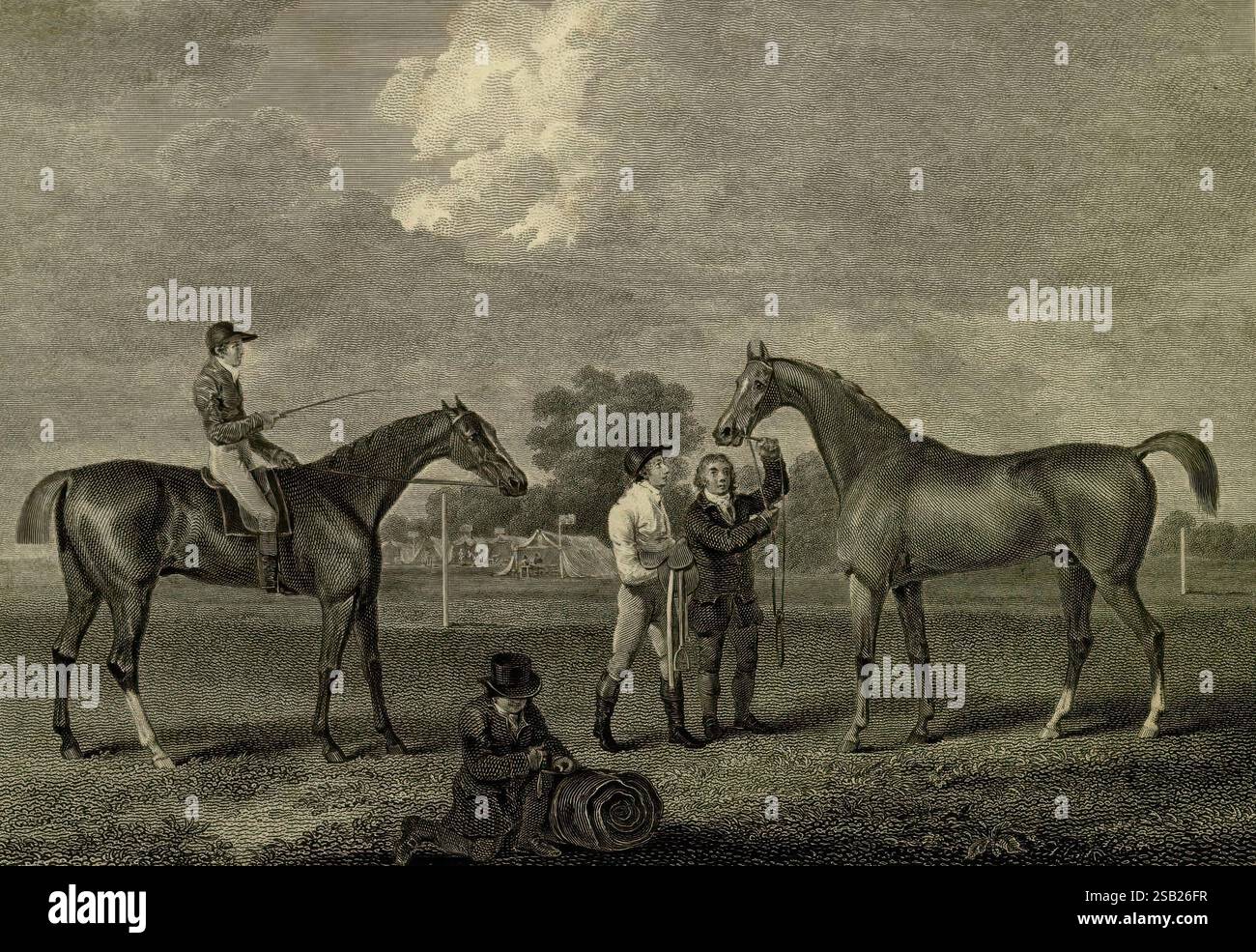 Renowned champion stallion hi-res stock photography and images - Alamy