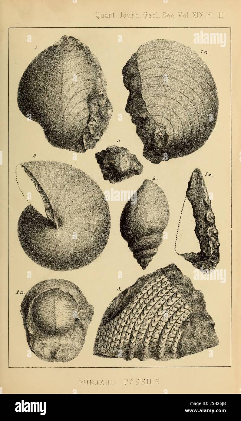 Collection of three geological specimens hi-res stock photography and ...