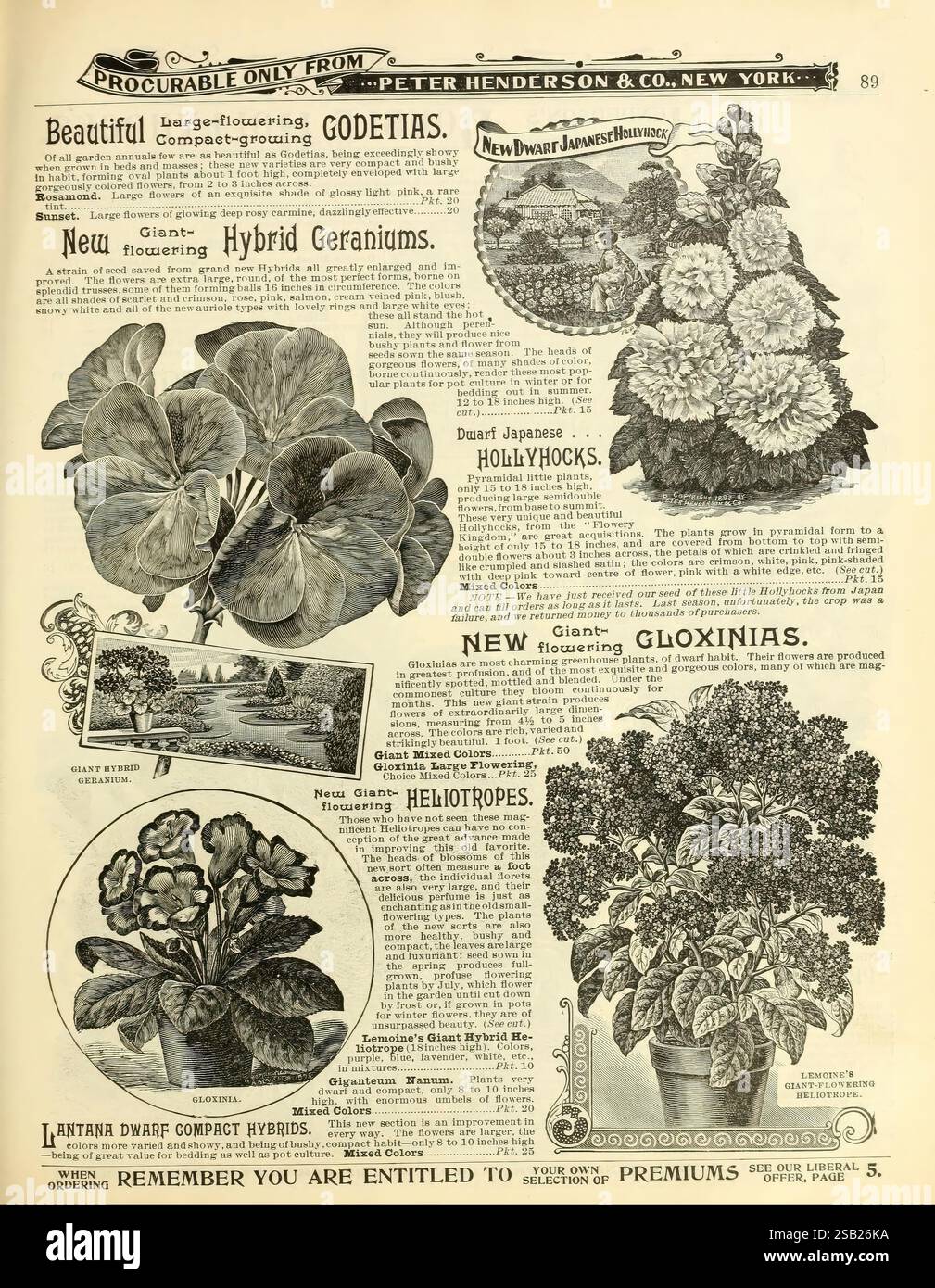 Everything for the garden, New York, Peter Henderson & Co, 1902 ...