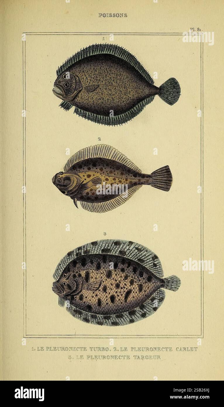 Oeuvres du comte de Lacépède, Paris, P. Duménil, 1836, natural history ...