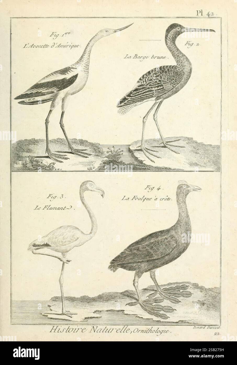 Elegant barge brune stands hi-res stock photography and images - Alamy