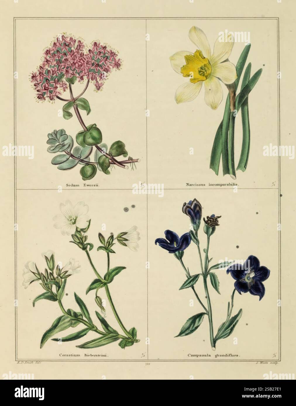 The, botanic garden, London, Simpkin & Marshall, 1825, botany ...