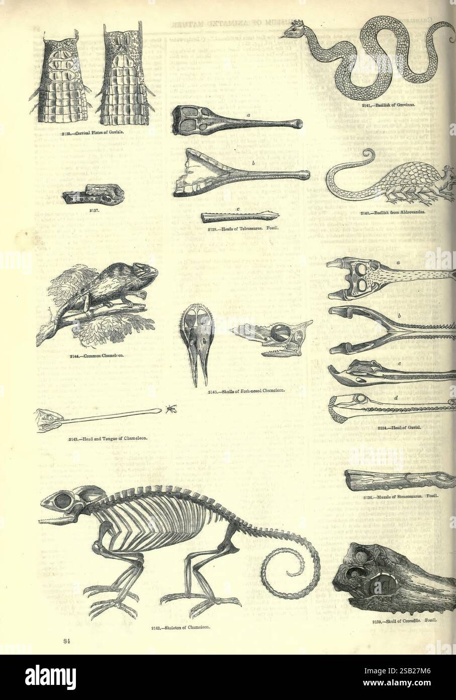 Variety of scientific instruments hi-res stock photography and images ...