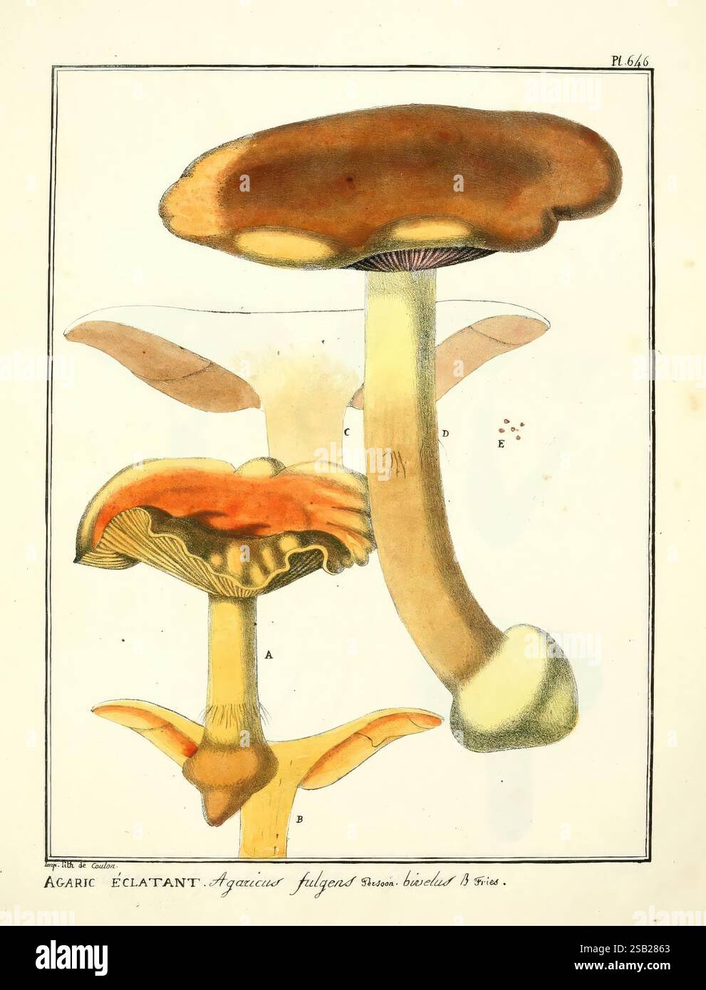 Faintly visible underneath hi-res stock photography and images - Alamy