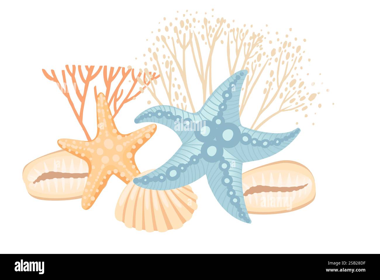 A beautifully illustrated depiction of colorful ocean shells and ...