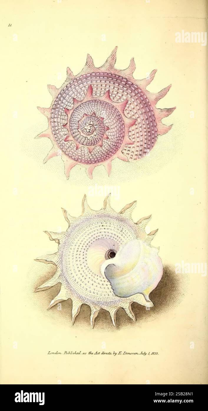 Surface displays subtle variations hi-res stock photography and images ...