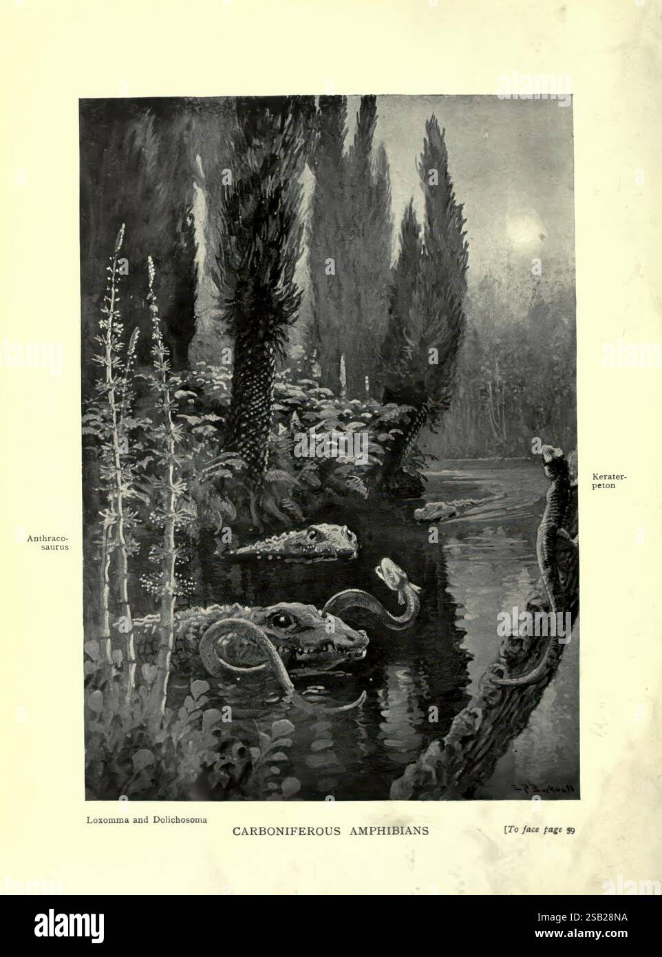 Prehistoric scene featuring hi-res stock photography and images - Alamy