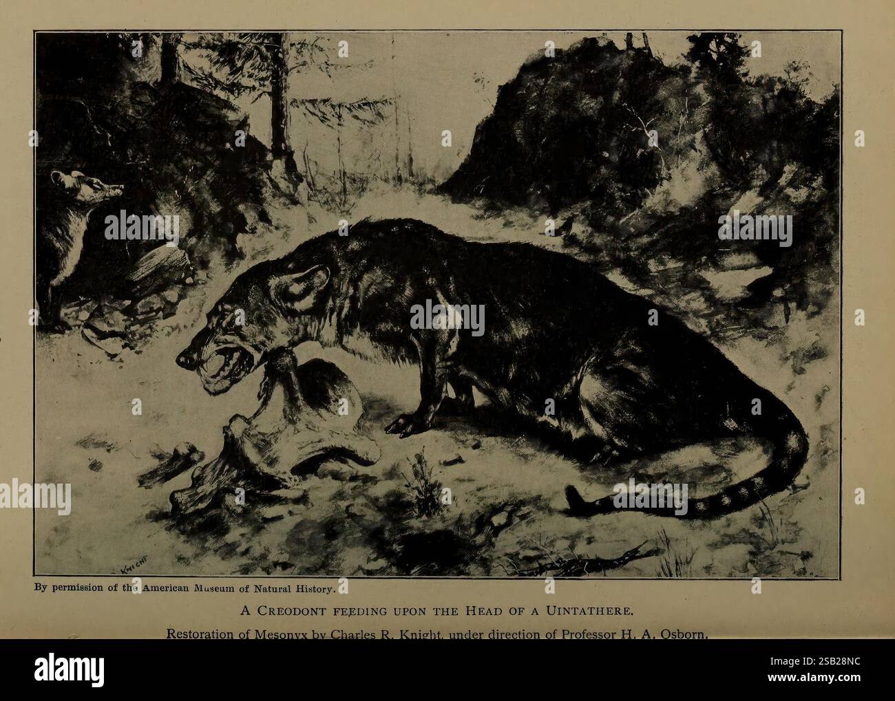 Caution inherent hi-res stock photography and images - Alamy