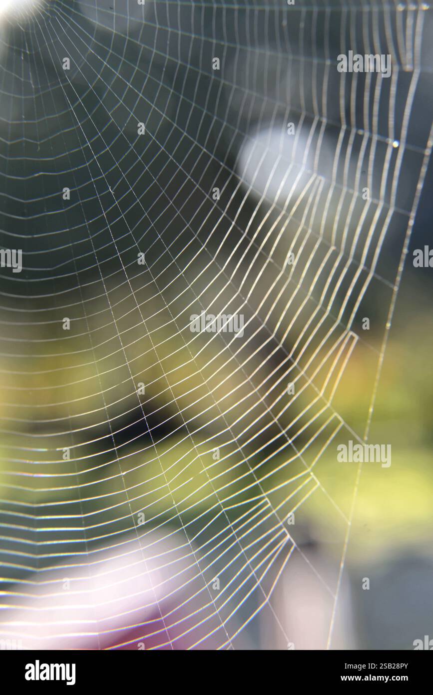 Vertical nature wallpaper hi-res stock photography and images - Alamy