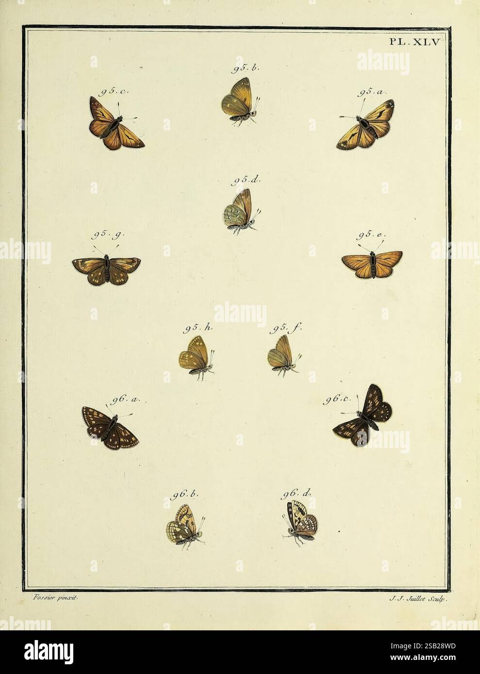 Papillons d'Europe, peints d'après nature, A Paris, Chez P.M ...
