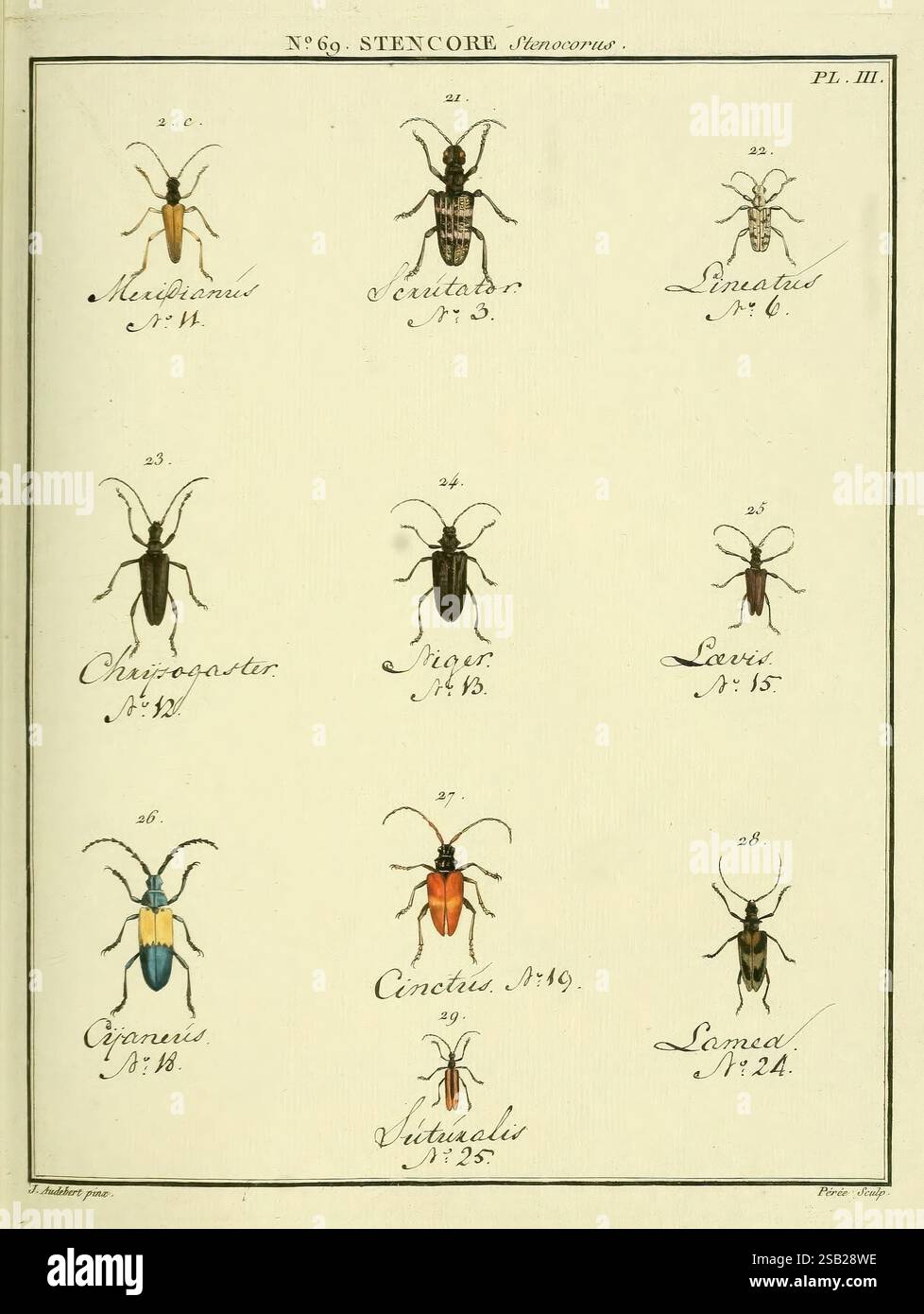 Entomologie, ou, Histoire naturelle des insectes, A Paris, De l ...