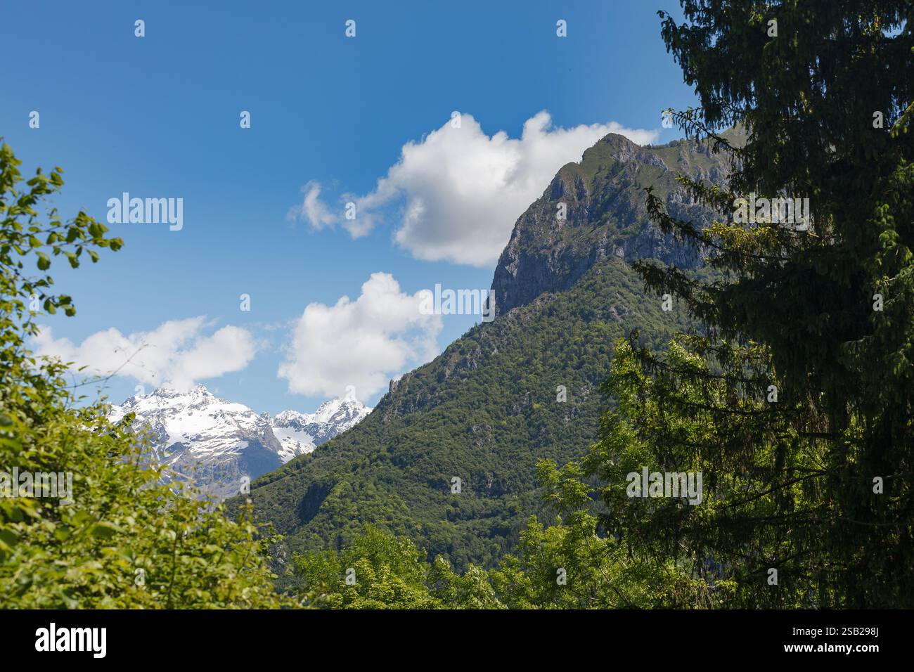 Mountain top of Bergamo alps. View from Gromo town Stock Photo - Alamy