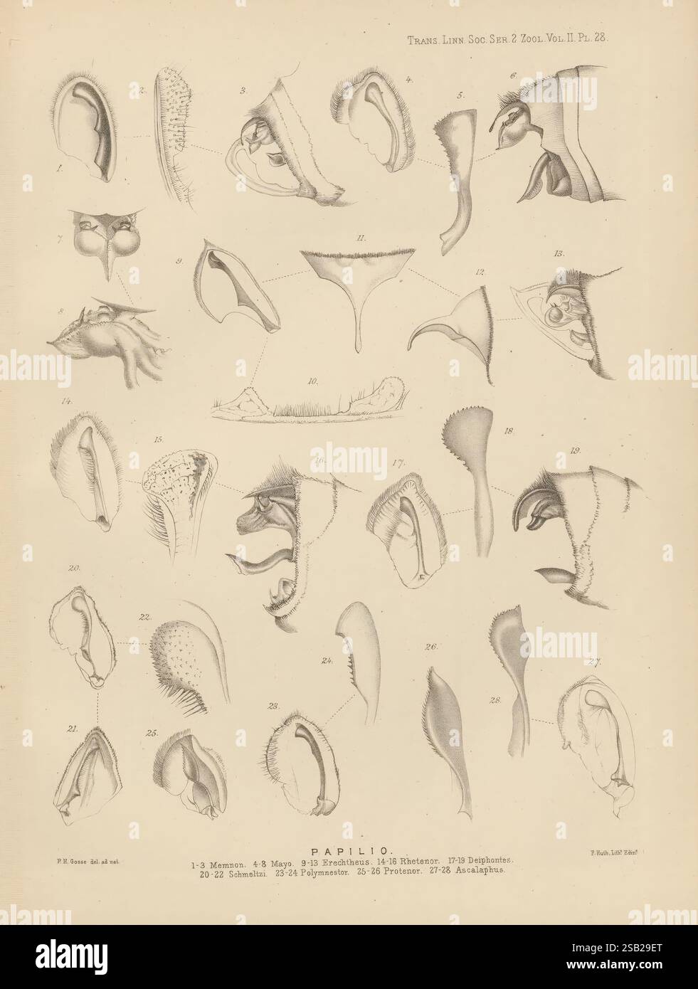 Images depict intricate structures hi-res stock photography and images - Alamy