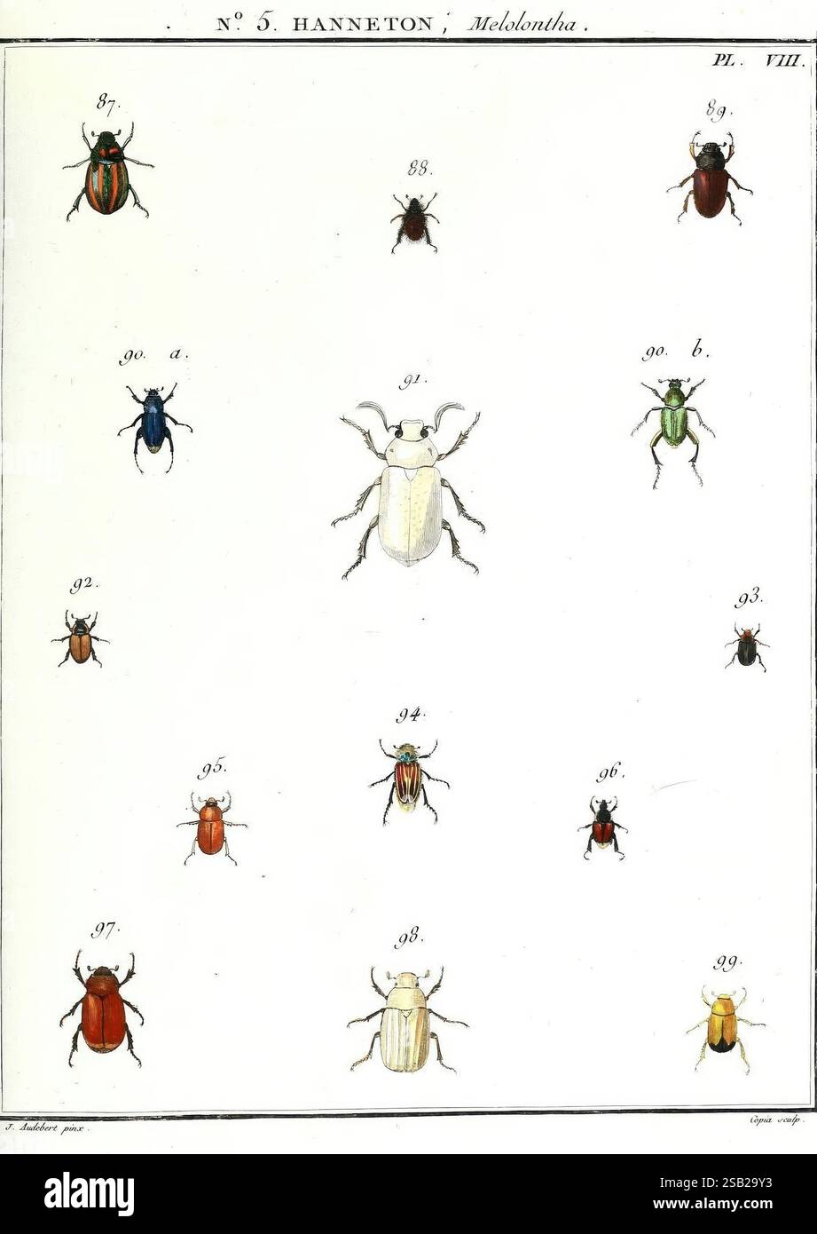 Entomology or Natural History of Insects, Paris, Imp. Baudouin, 1789 ...