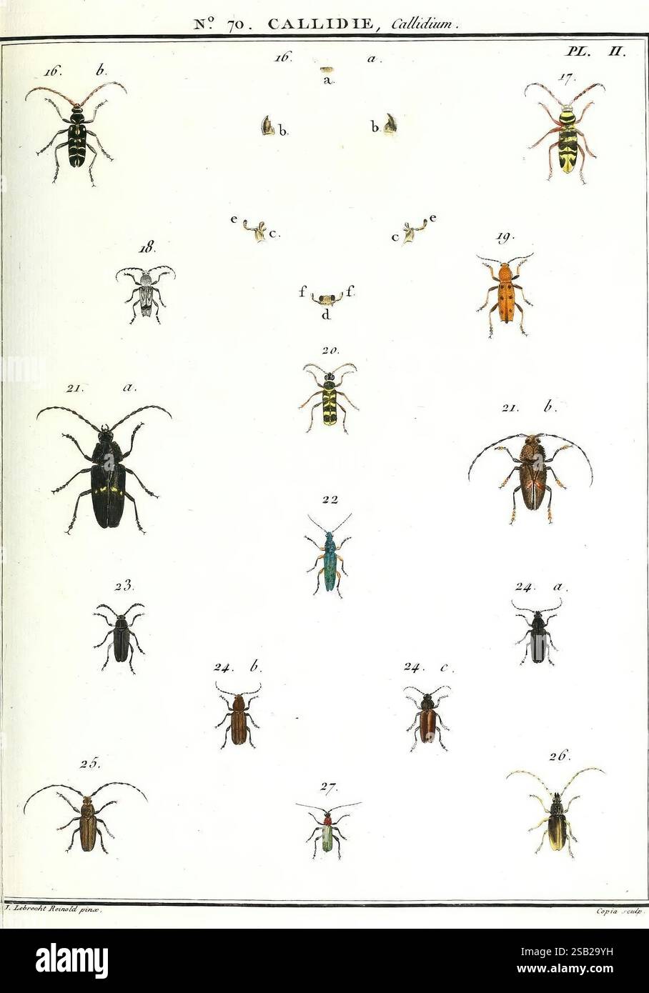 Family study illu hi-res stock photography and images - Alamy