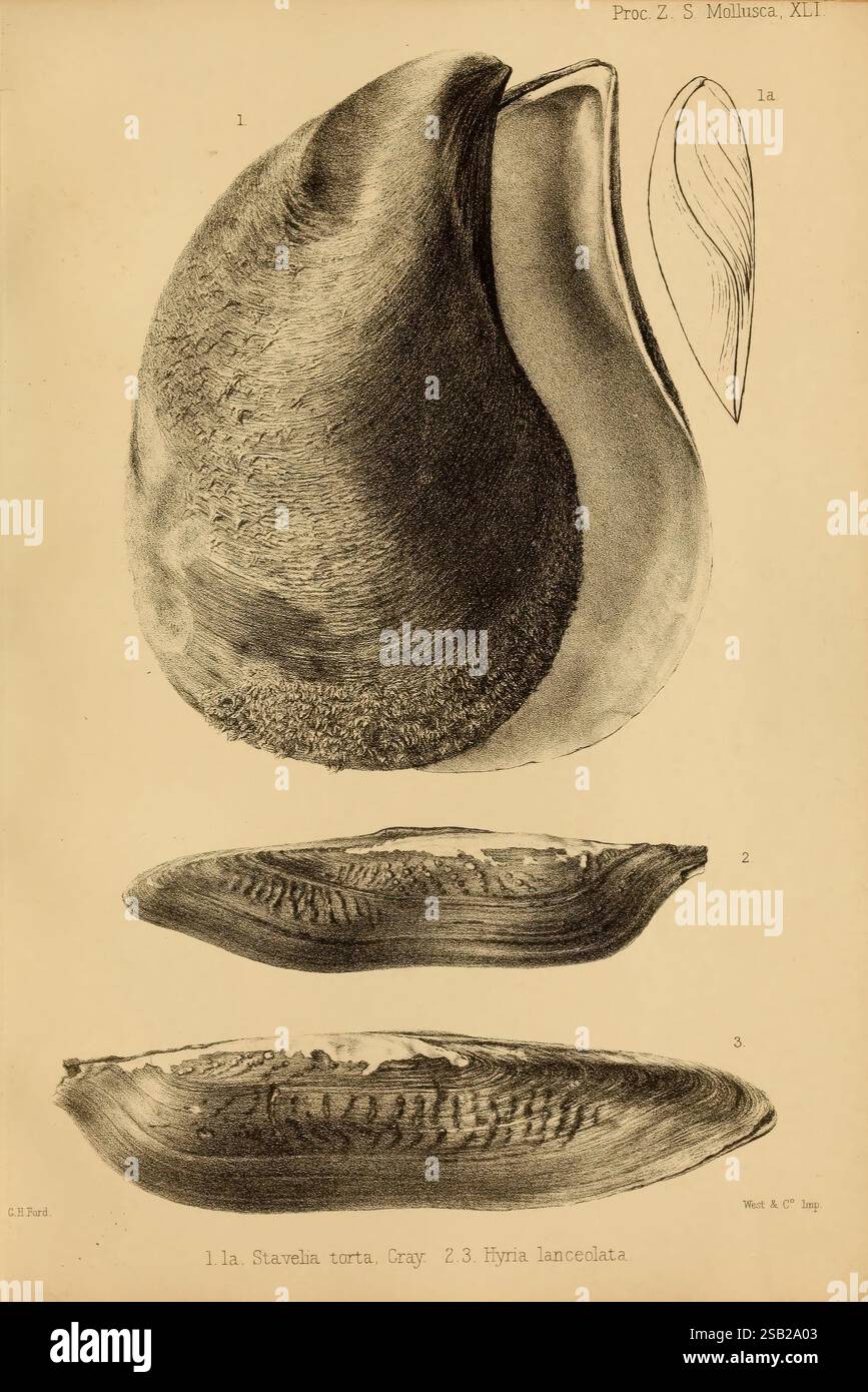 Second segment displays hi-res stock photography and images - Alamy