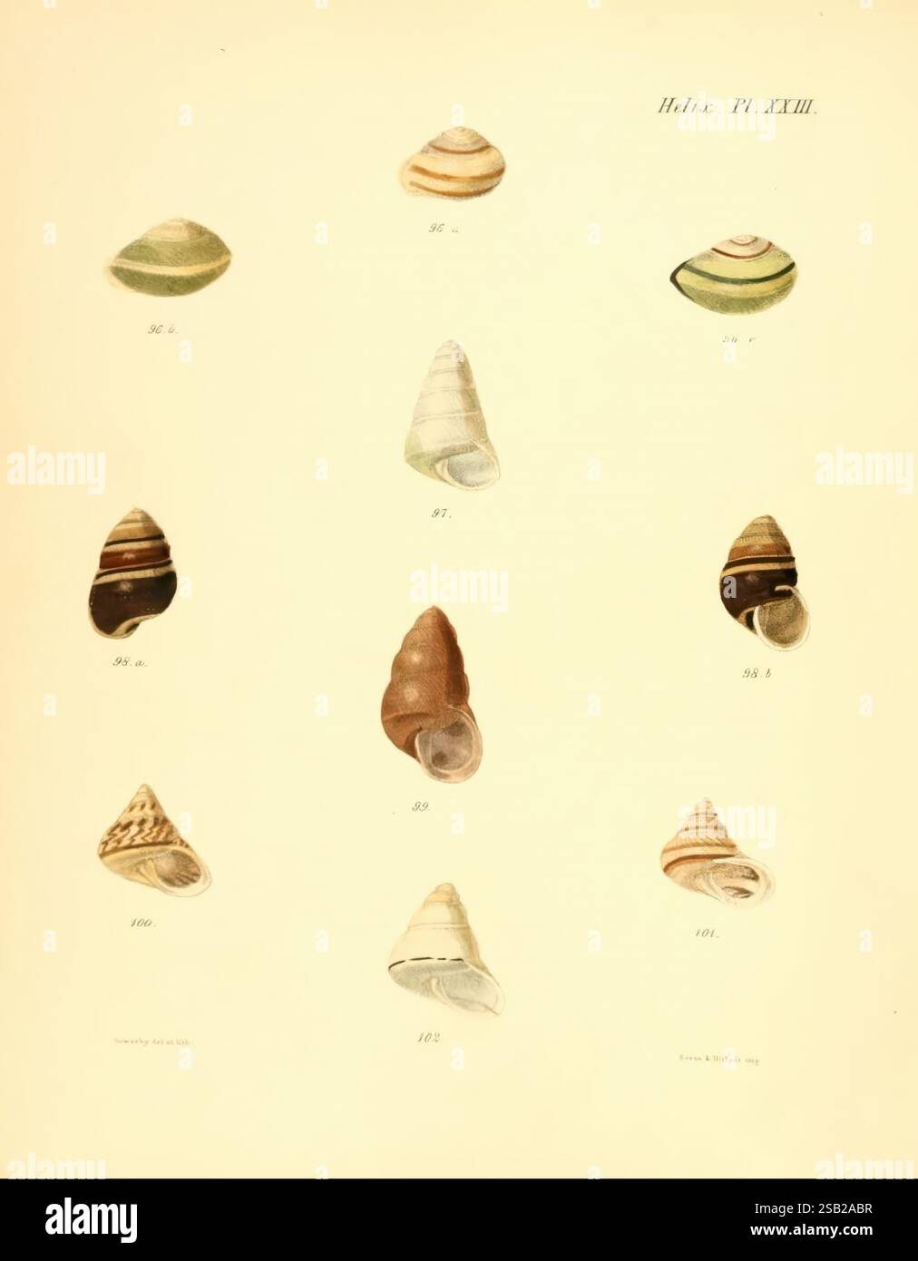 Entries labeled hi-res stock photography and images - Alamy