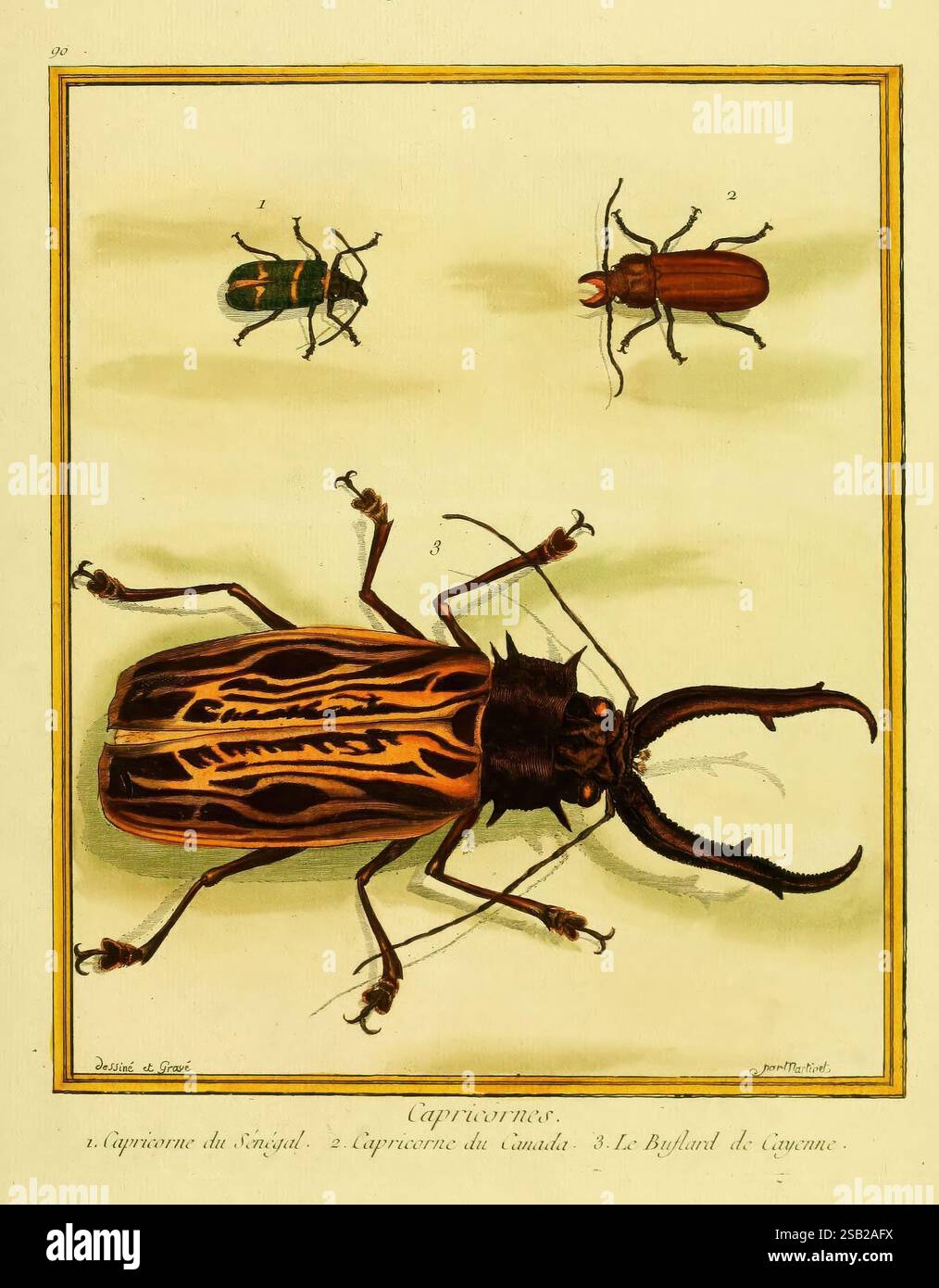 Two smaller representatives hi-res stock photography and images - Alamy